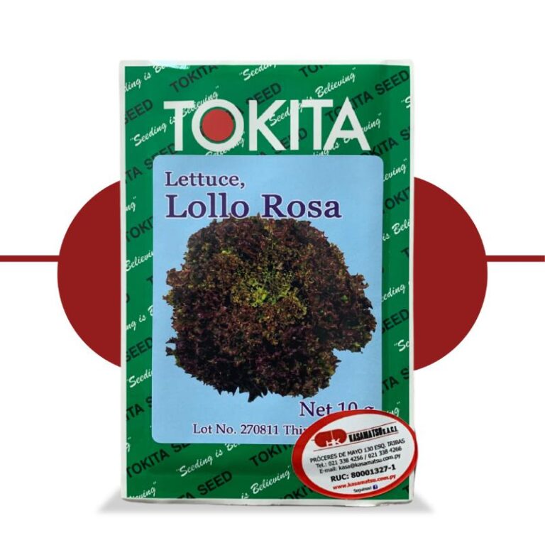 Lechuga Lollo Rosa - Kasamatsu