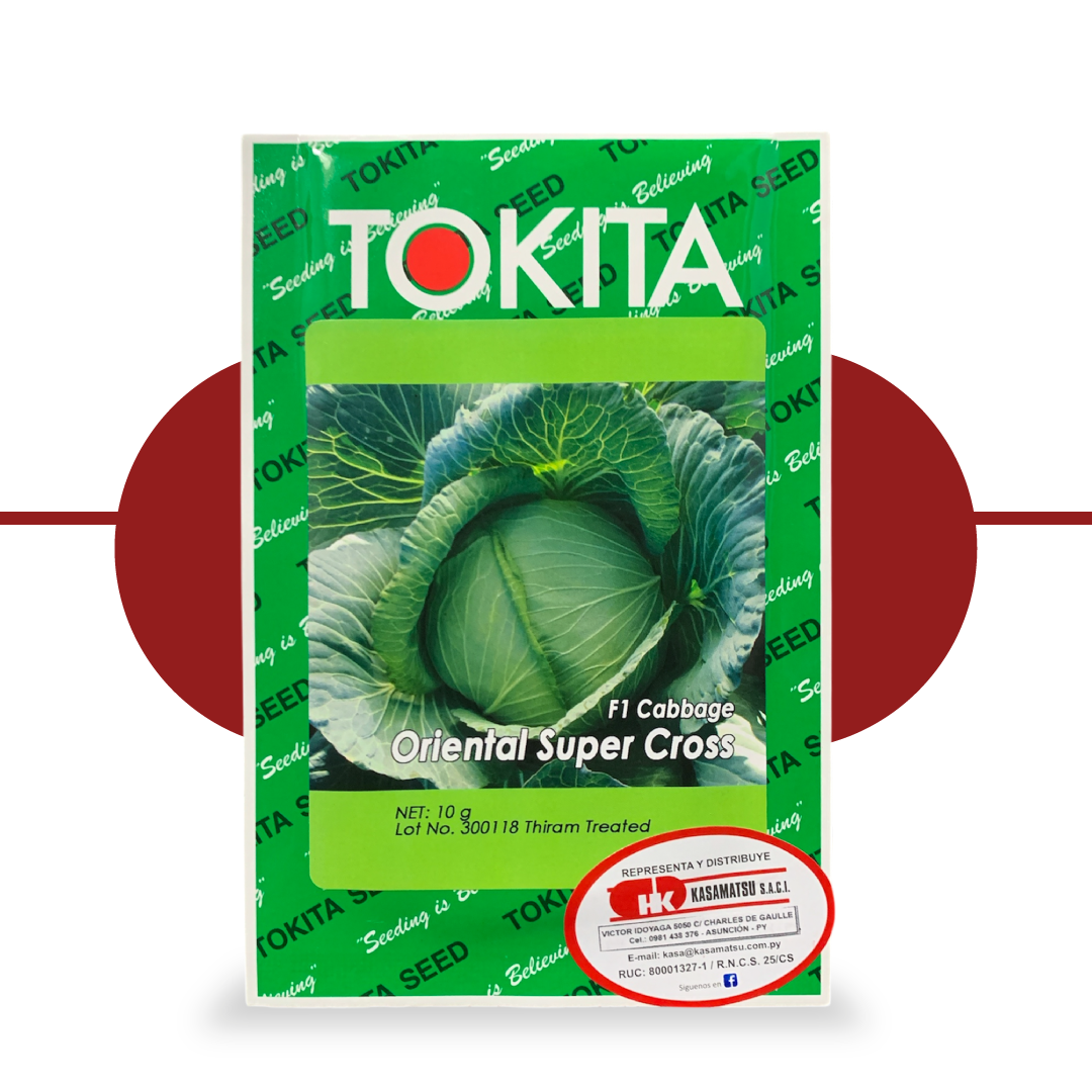Repollo Oriental Super Cross - Kasamatsu
